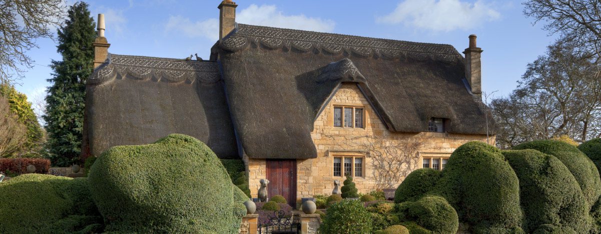 County Insurance | Thatch Home insurance